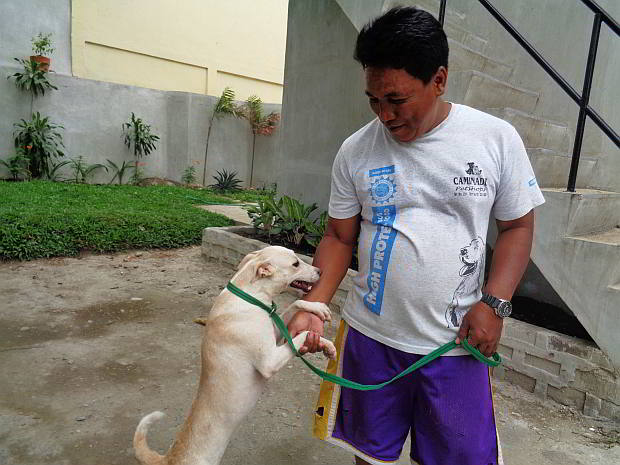 City pound uses Facebook to offer stray dogs, cats for adoption | Cebu ...