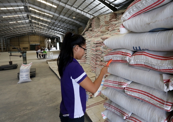 ‘Eat more corn, camote’ | Cebu Daily News