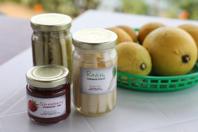 SERGIO’S STRAWBERRY FARM: ‘An answered clamor’ | Cebu Daily News