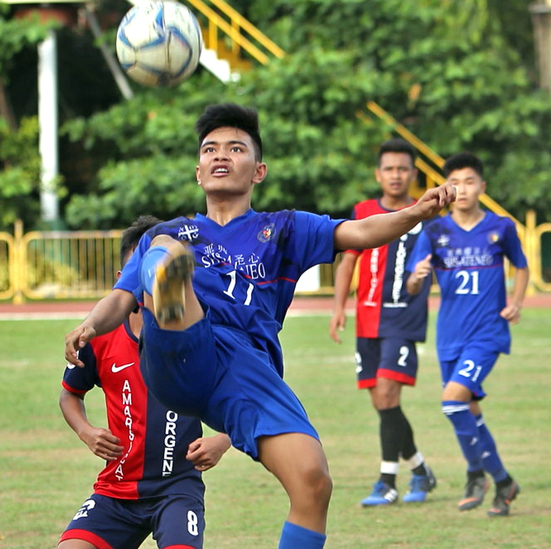 COLINA‘S RARE FEAT | Cebu Daily News