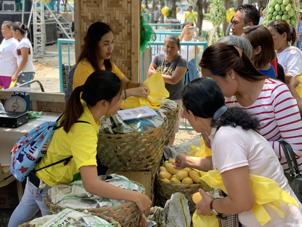Megaworld’s ‘Mango Festival’ shows one the art of harvesting mangoes ...