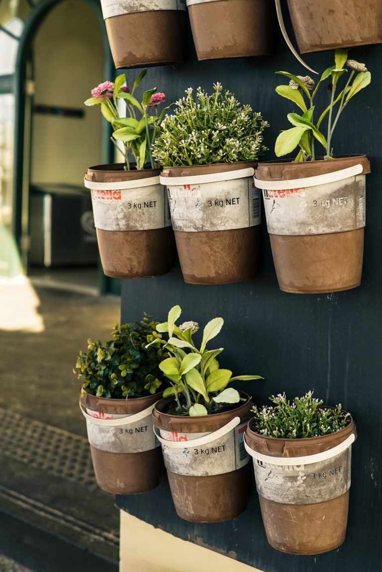 Urban gardening 101: How to grow plants in an urban setting | Cebu ...