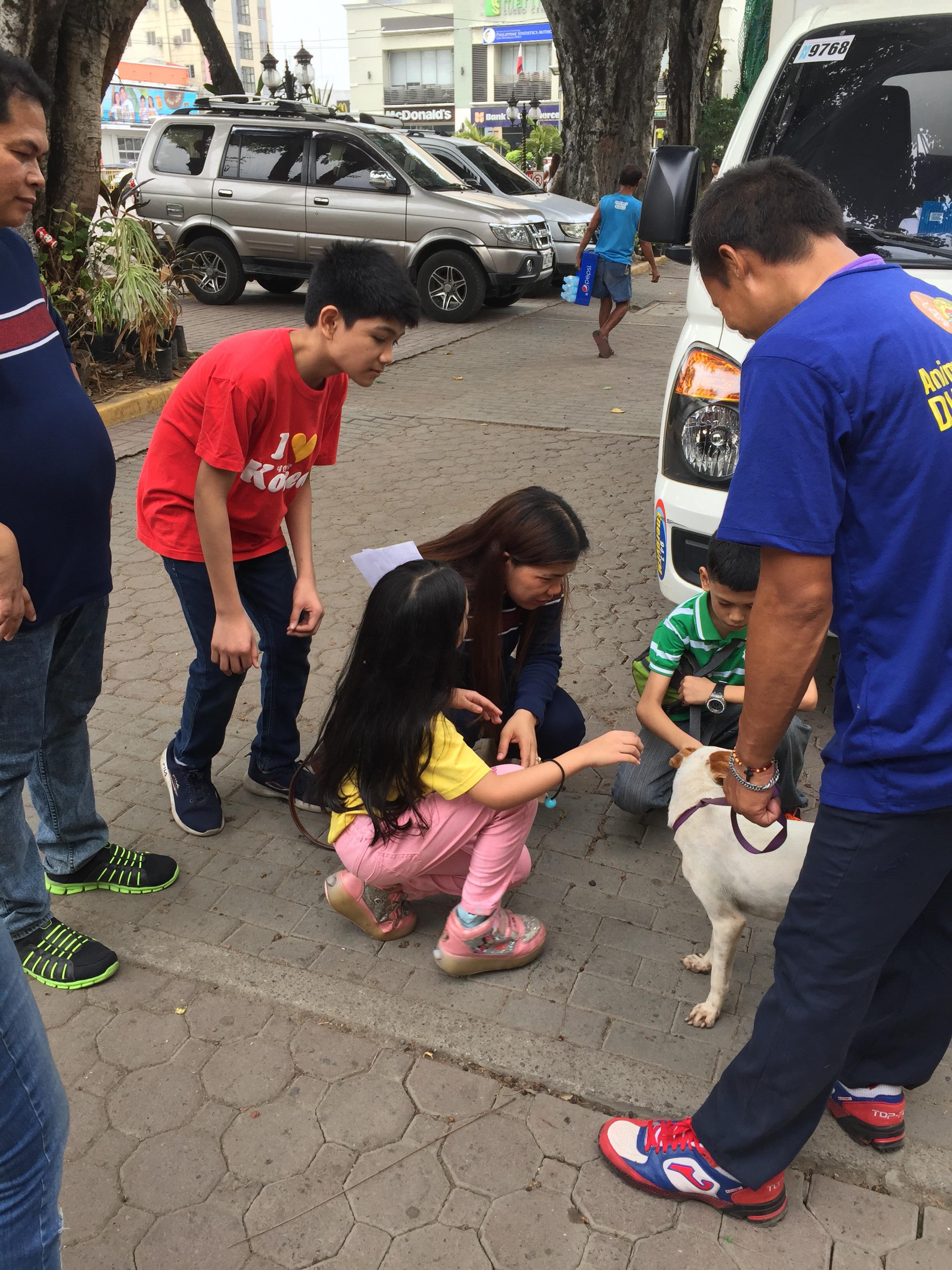 Asong Pinoy Day: Aspin Inday gets new name, new home in Lacion | Cebu ...