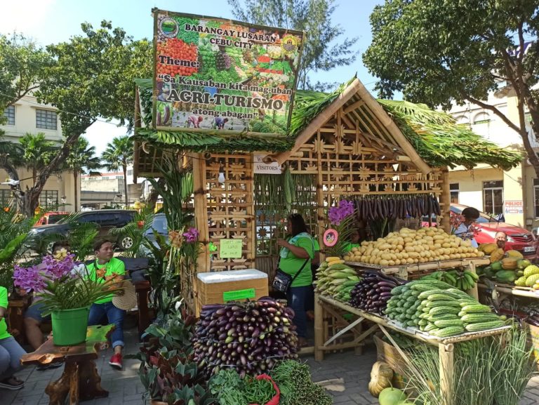 Photo play of farmers' booths joining the Agri-Bonanza at Plaza Sugbo ...