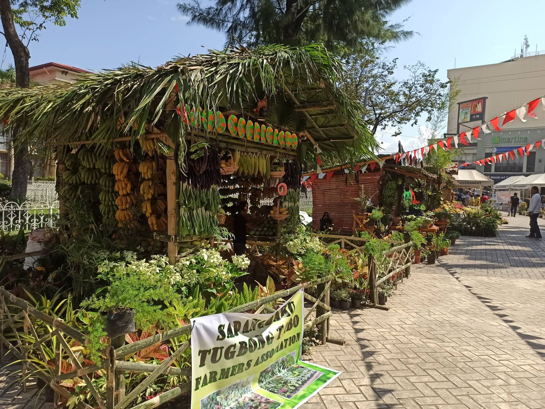 Photo play of farmers' booths joining the Agri-Bonanza at Plaza Sugbo ...