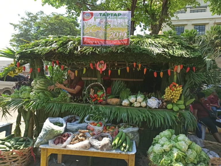 Photo play of farmers' booths joining the Agri-Bonanza at Plaza Sugbo ...