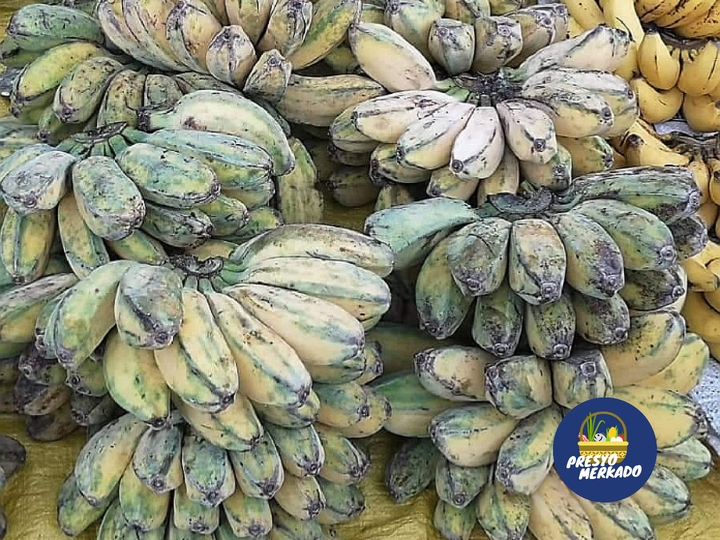 The cardaba banana: A local favorite | Cebu Daily News