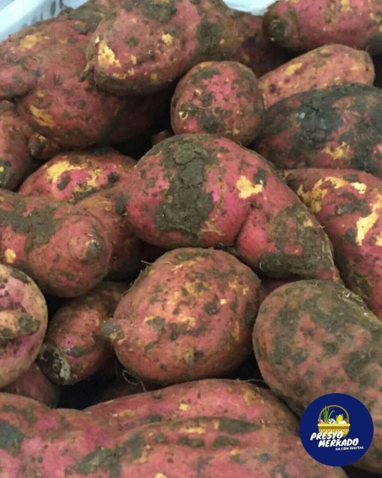 Kamote: The versatile root crop | Cebu Daily News