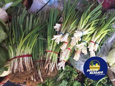 Tanglad, the wonder herb! | Cebu Daily News