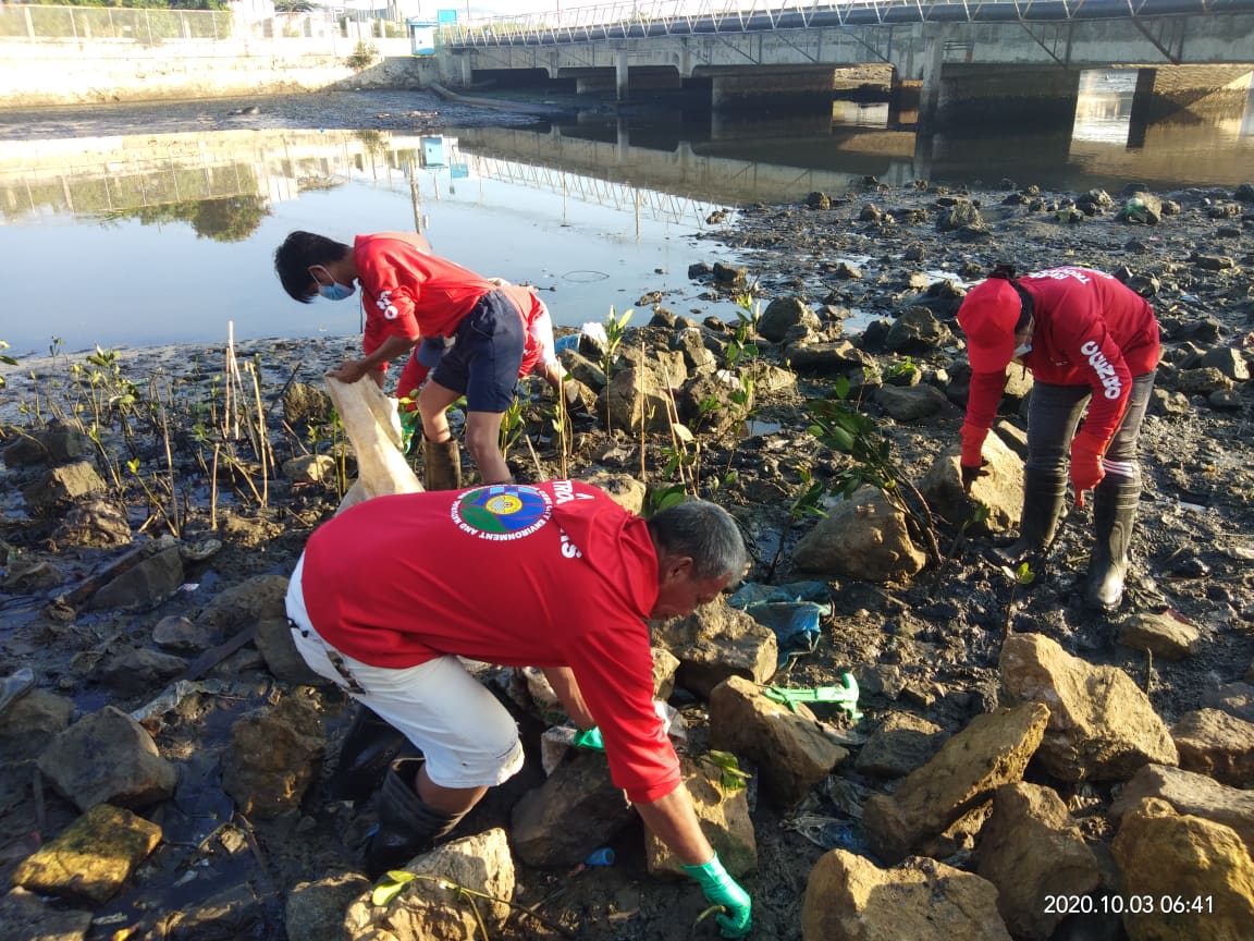 In Photos: Cebu City resumes campaign to plant 3M trees in 3 years ...