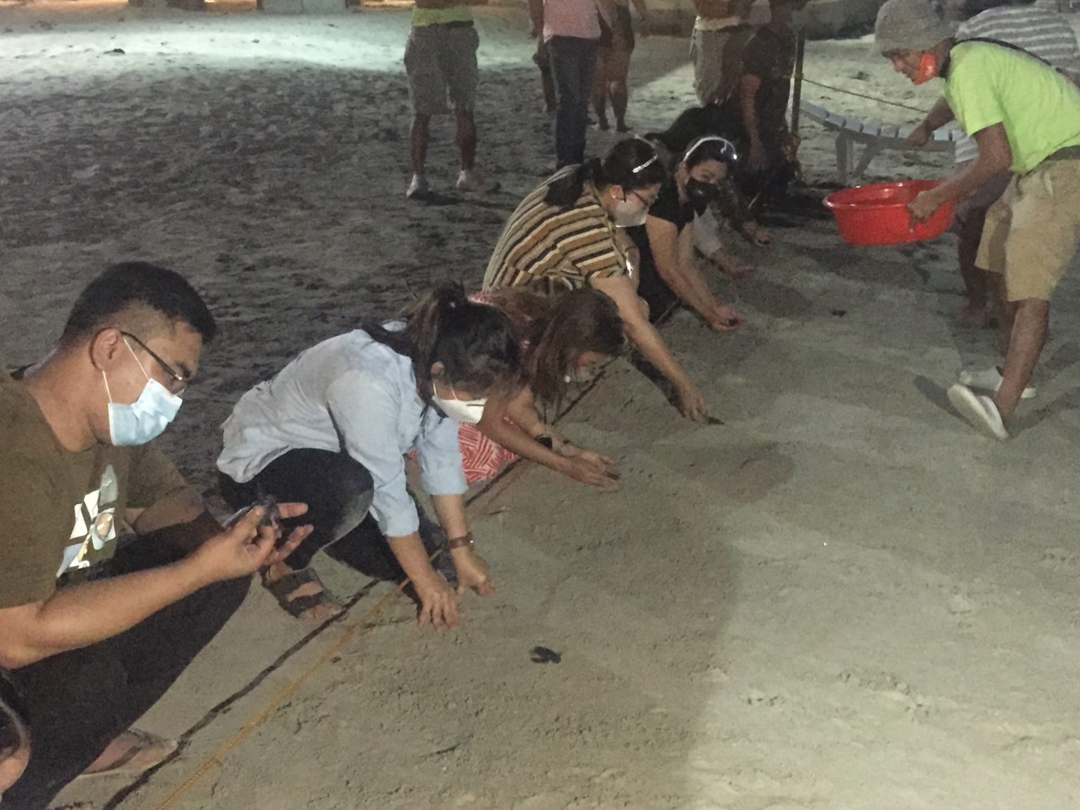 121 baby ‘pawikan’ swim back to Subic Bay | Cebu Daily News