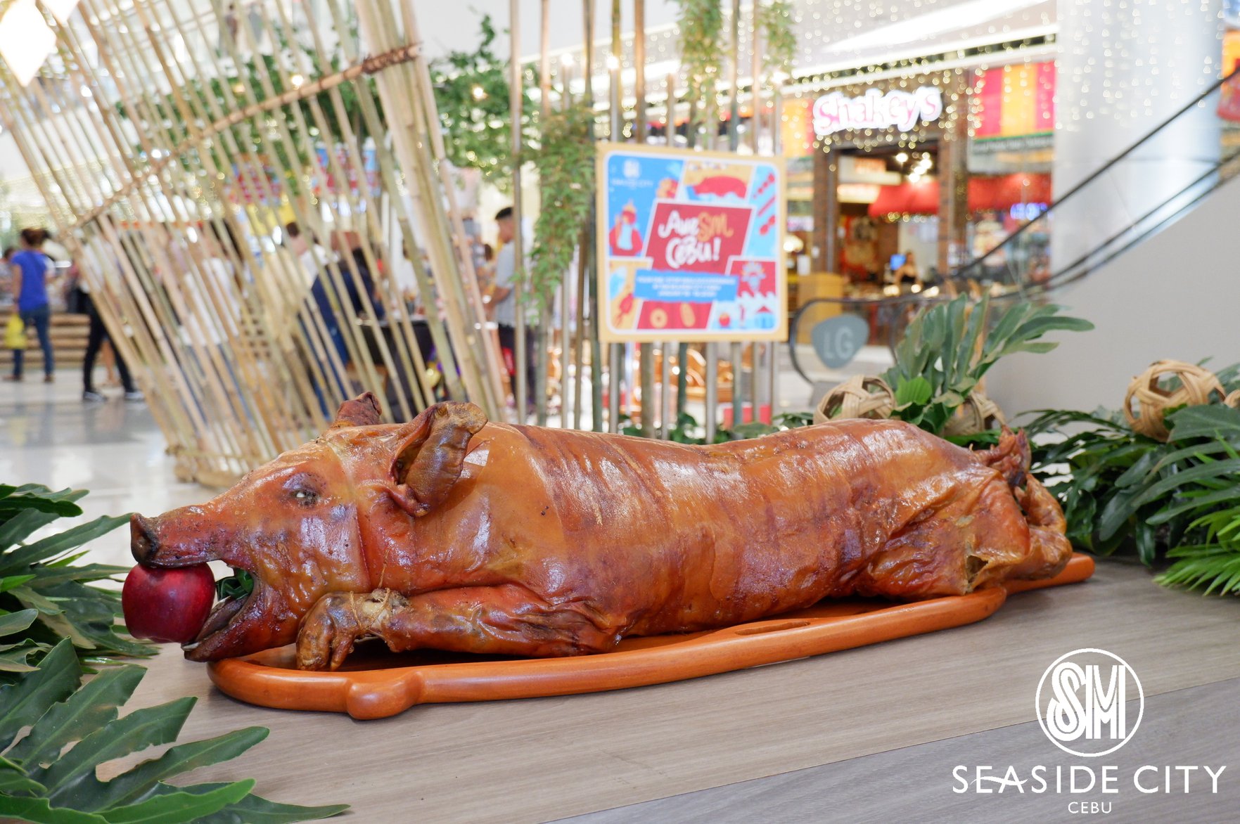 AweSM events to watch out for this January around Cebu | Cebu Daily News