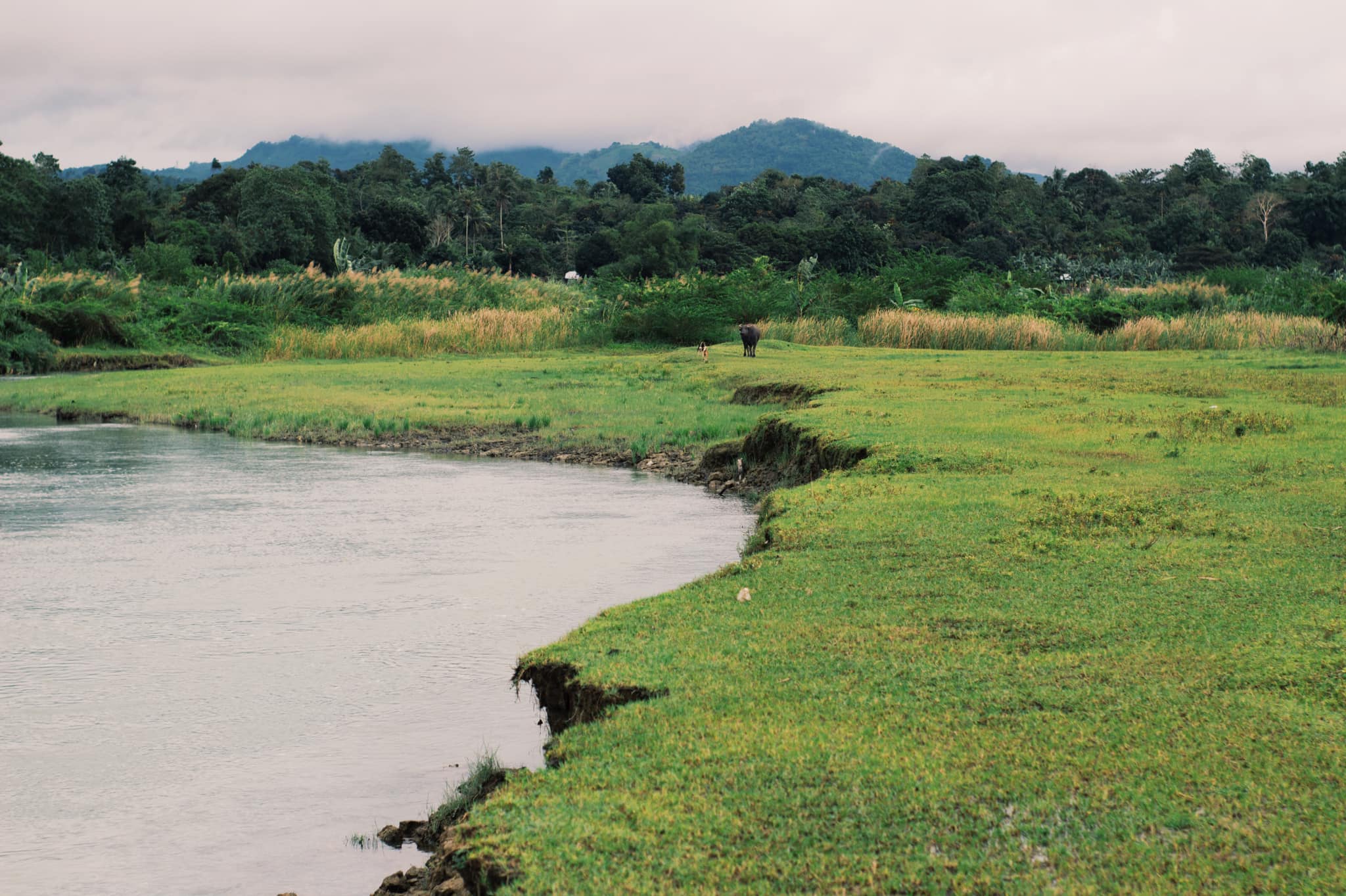 LOOK: The riverbank beauty of Hinulawan River, Toledo City | Cebu Daily ...