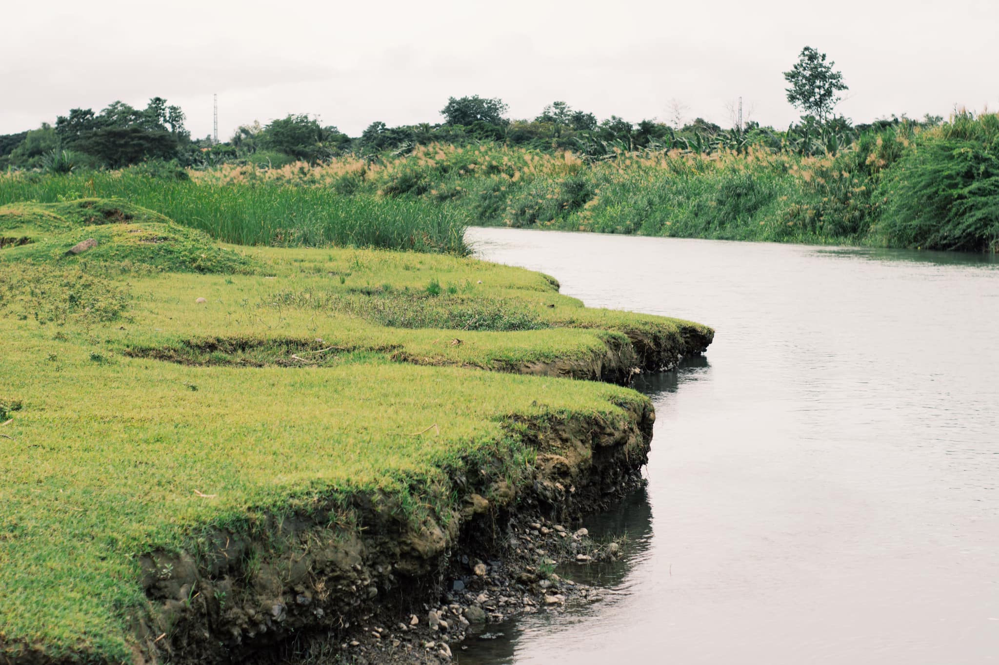 LOOK: The riverbank beauty of Hinulawan River, Toledo City | Cebu Daily ...