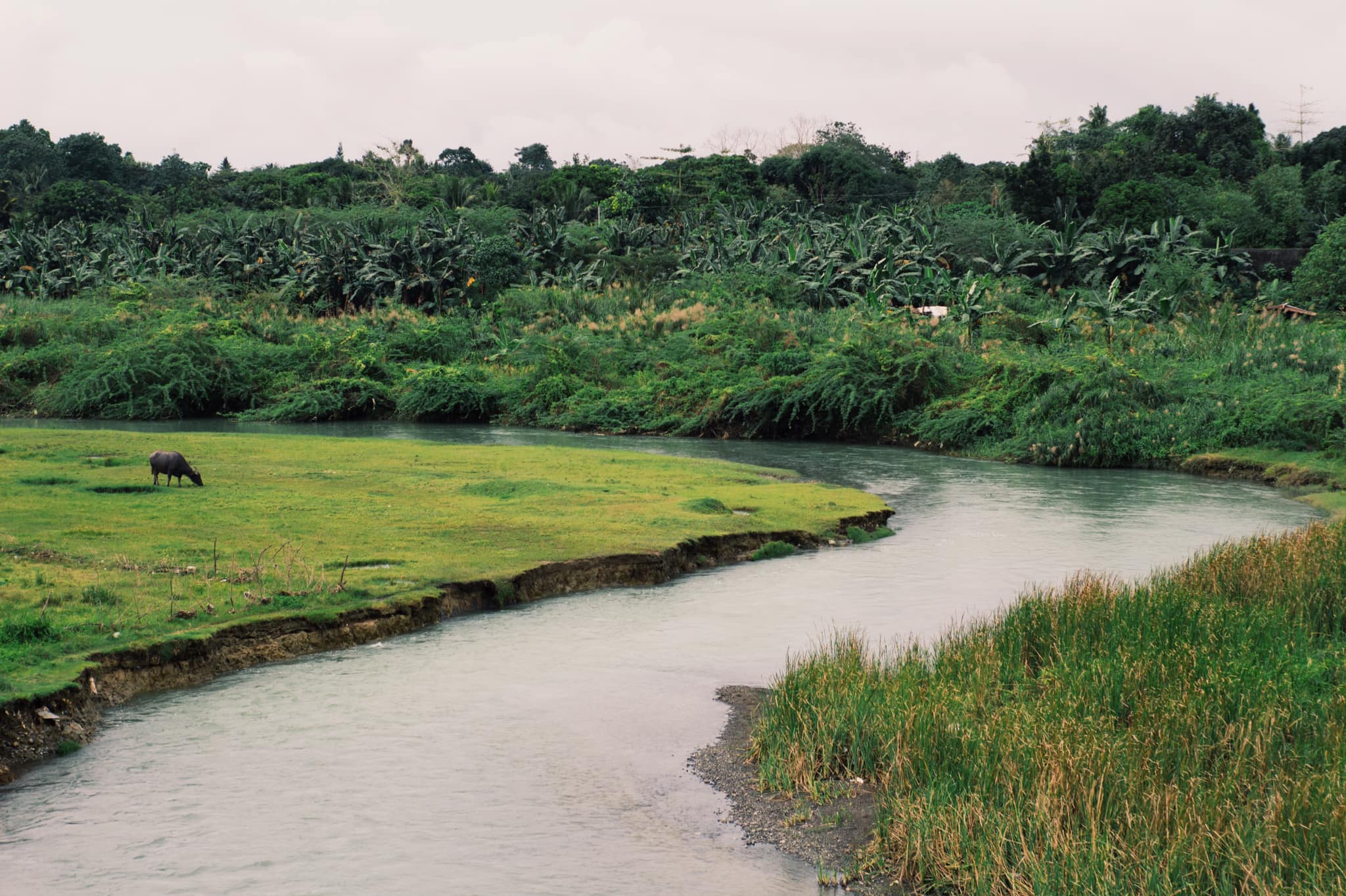 LOOK: The riverbank beauty of Hinulawan River, Toledo City | Cebu Daily ...