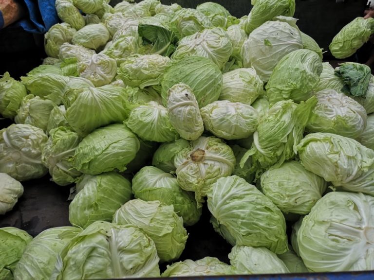 500 kilos of 'surplus' cabbage given away to coastal barangays in ...