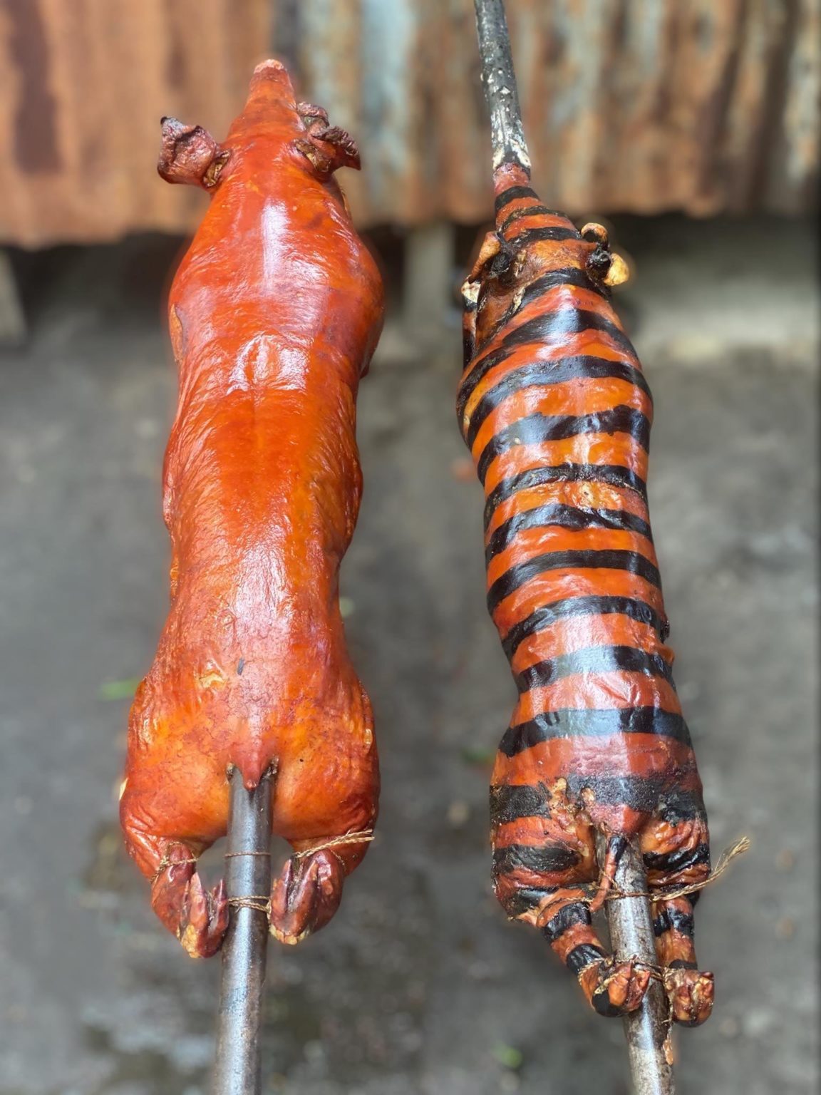 FACES OF CEBU: Mary Joy Postrano, 28, the brain behind Cebu's 'black ...