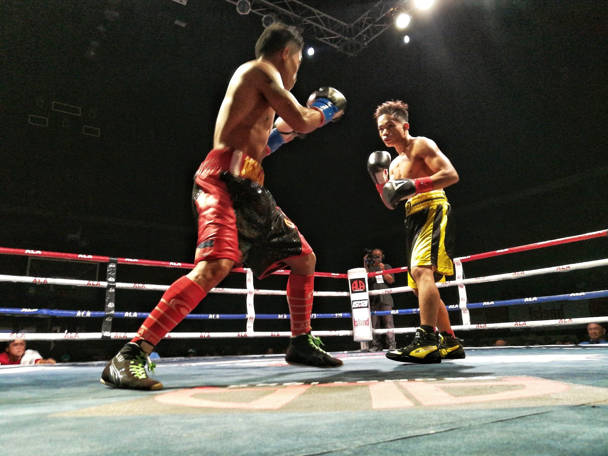 Domingo returns to the ring in Tabunok fight card | Cebu Daily News