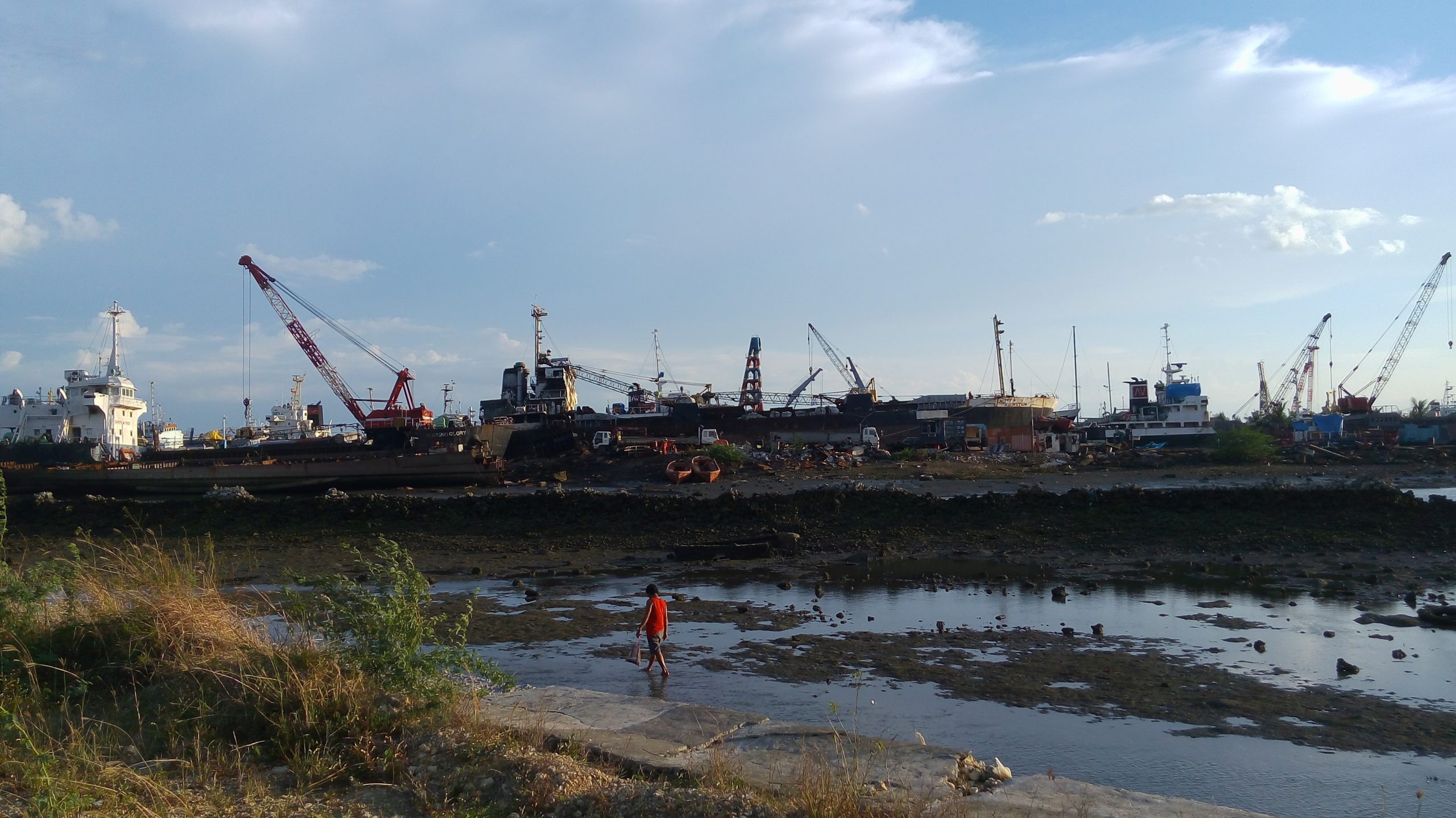 Congressman sits in private firm tapped to reclaim 235 hectares in Cebu ...