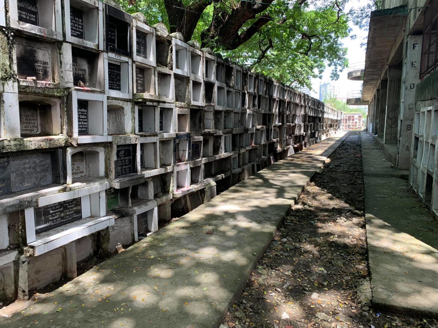 Kalag-Kalag 2022: Dos and Don'ts | Cebu Daily News