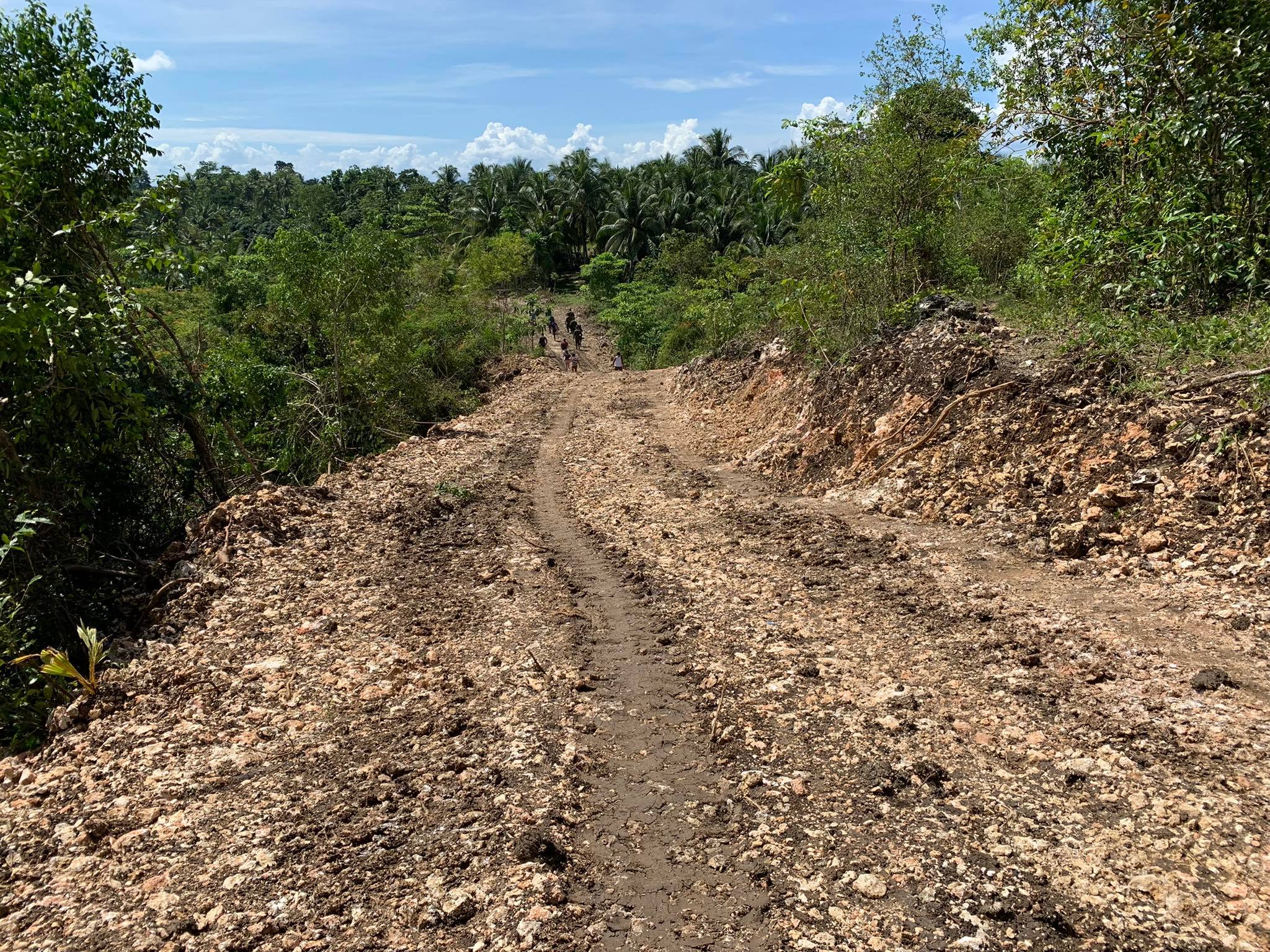 New road, new hope for two Dumanjug mountain barangays | Cebu Daily News