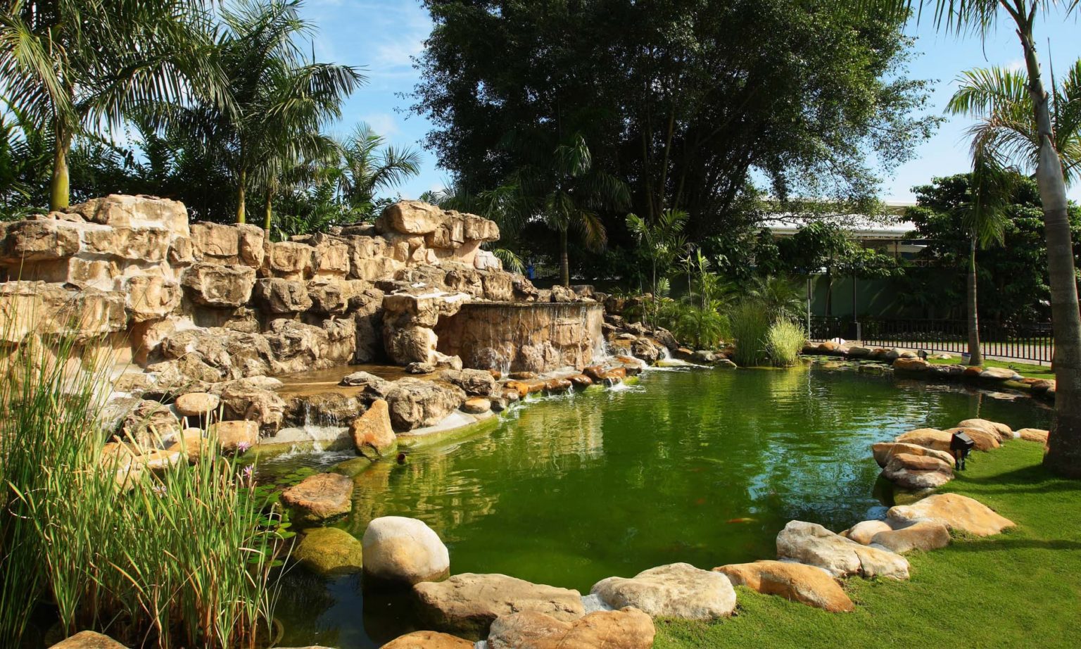 Remembering departed loved ones during Christmas made more meaningful ...