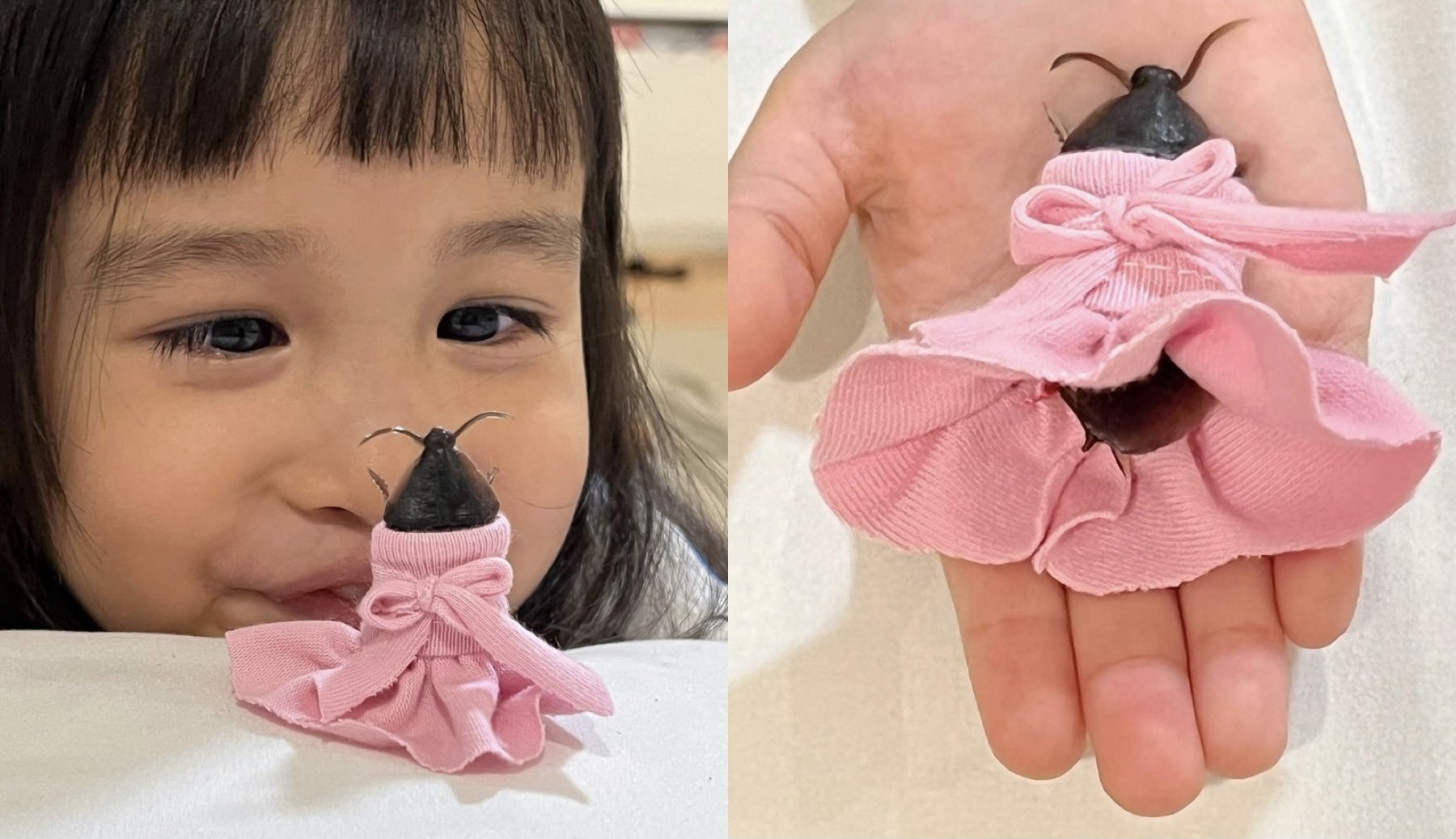 Vika’s cockroach gets a little pink dress | Cebu Daily News