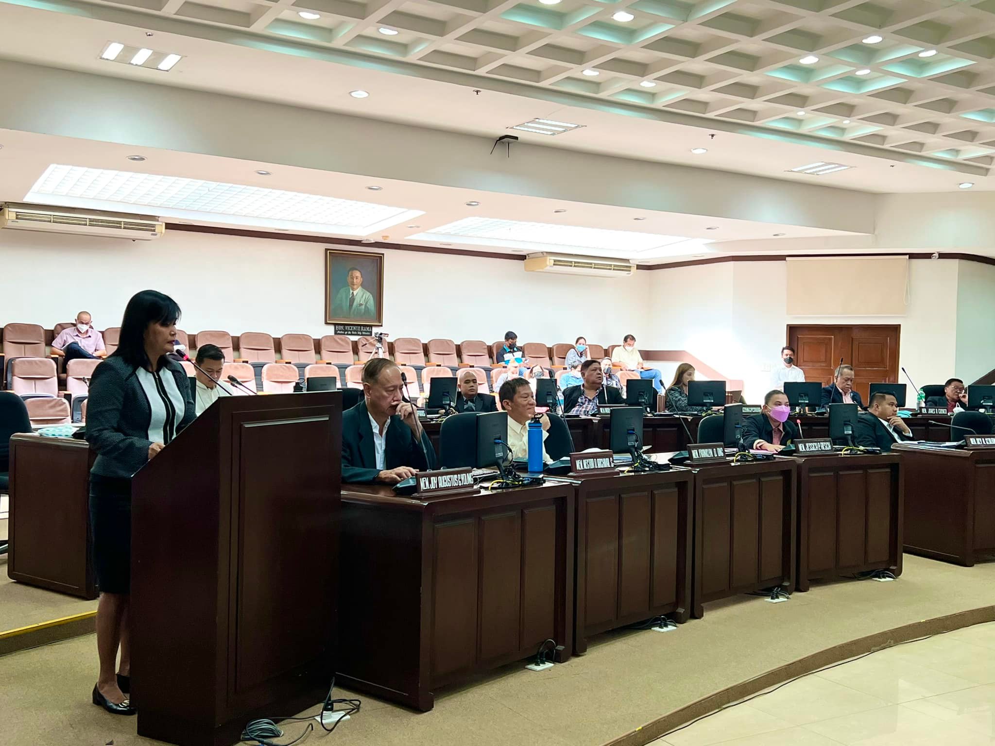 Cebu City Council to push for implementation of a five-year-old mental ...