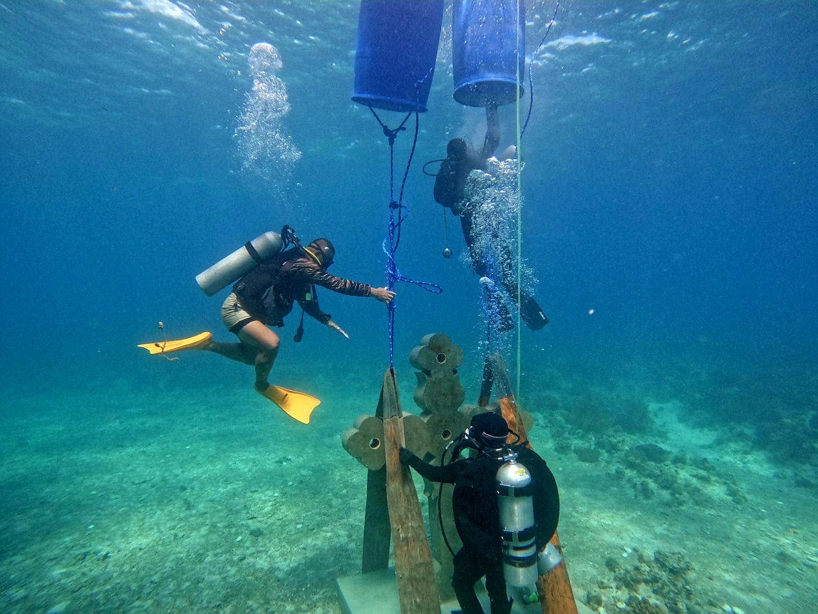 Medellin's Underwater Cross: Becoming Cebu's newest diving destination