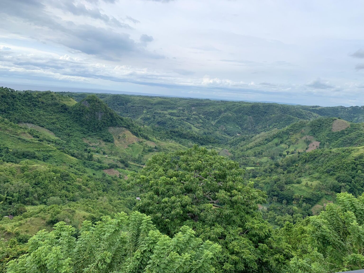 Tuburan 360: Suroy Suroy guests get a taste of Tuburan's newest spot ...