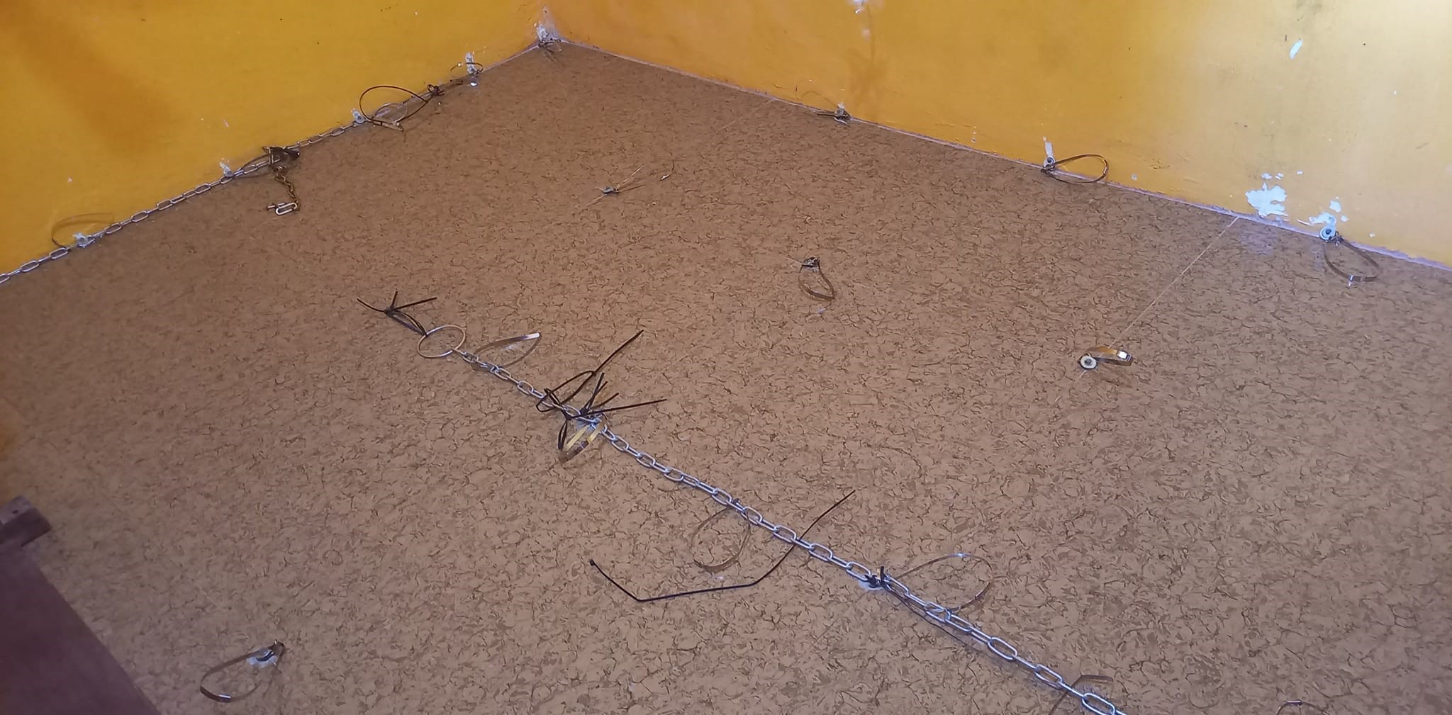 Lapu-Lapu police share tips: Don’t accept rides from strangers to avoid ...