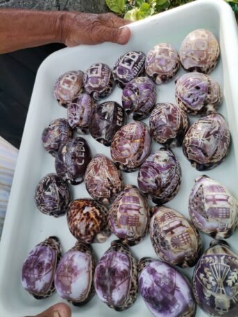Hand-crafted shells in Cebu: A legacy passed down through time | Cebu ...