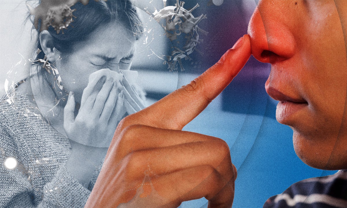 Andrea Brillantes and anosmia or loss of smell: What to know | Cebu ...