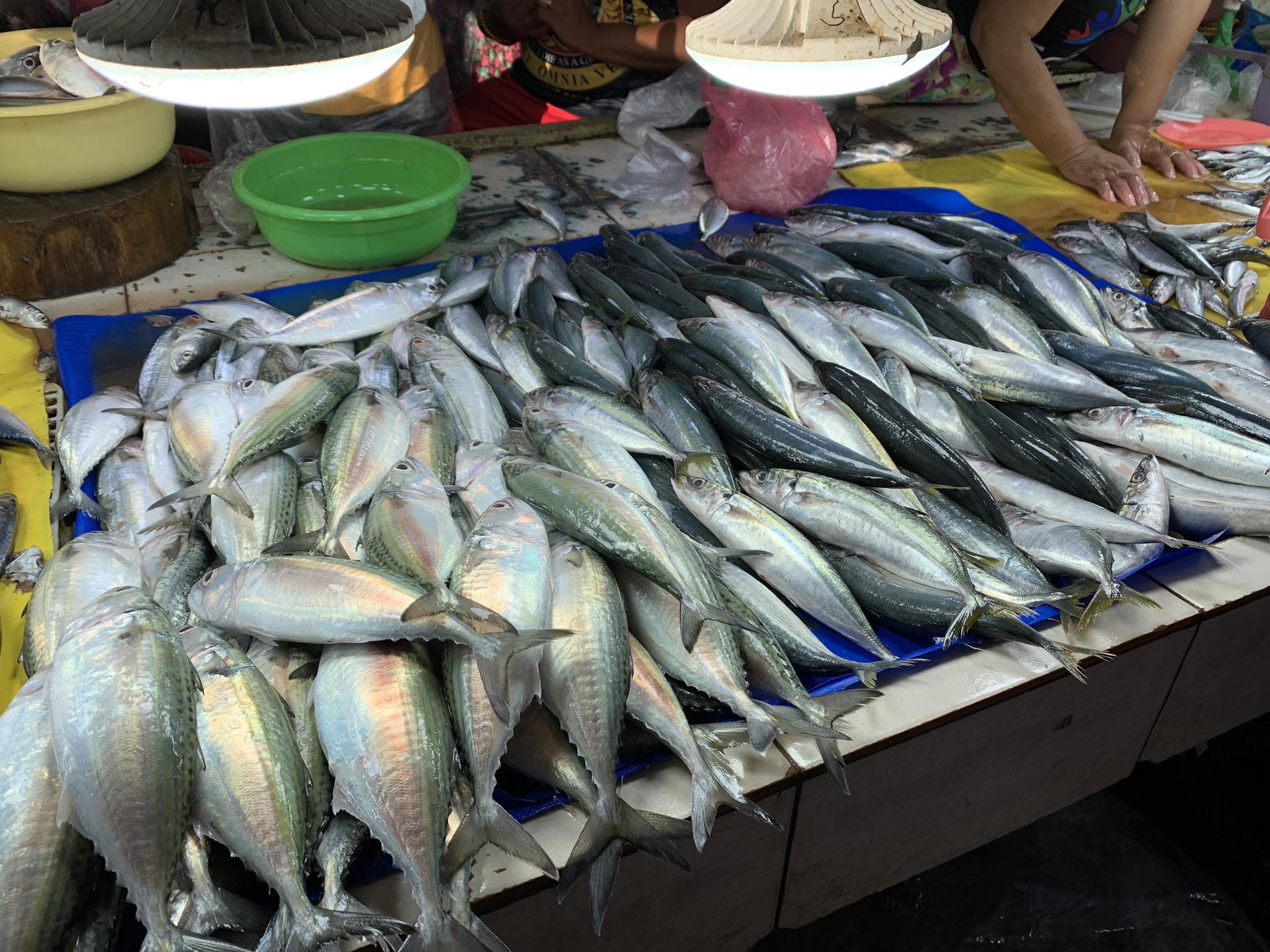 Presyo Merkado: Prices of goods at the Mandaue Public Market as of Sept ...