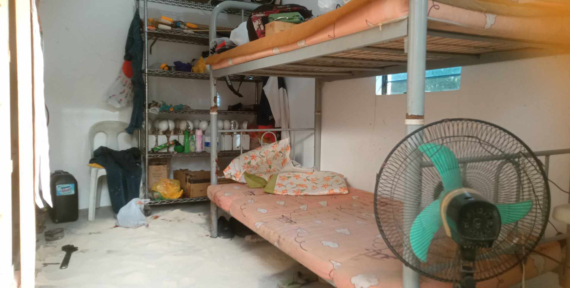 Farm manager in Barili, Cebu killed