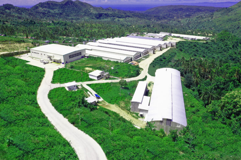 Excelsior Farms and EGGcelsior Farm: Revolutionizing Modern Farming in ...