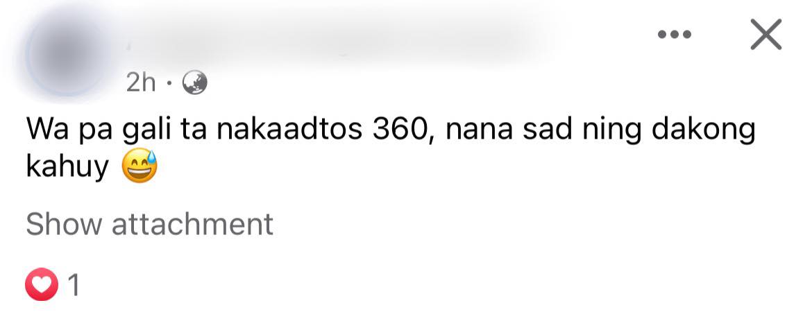 Giant Dao tree in Tuburan: Nature's gift worth keeping