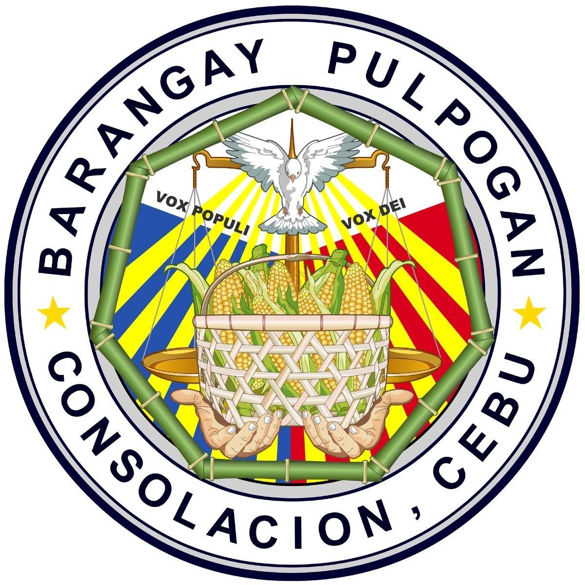 Controversy involving officials affects Consolacion brgy | Cebu Daily News