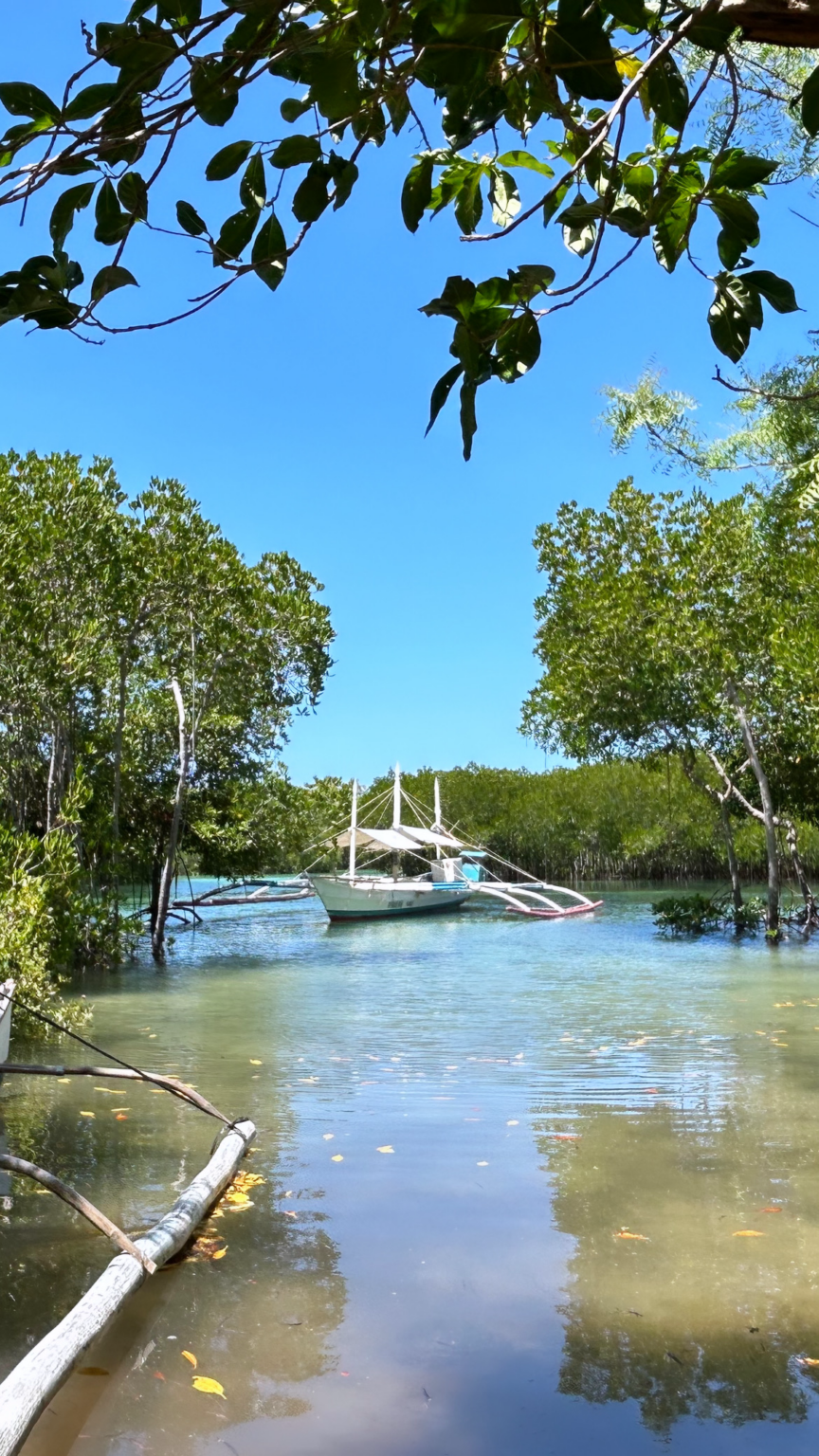No more boat trips inside Santa Fe’s Balidbid lagoon