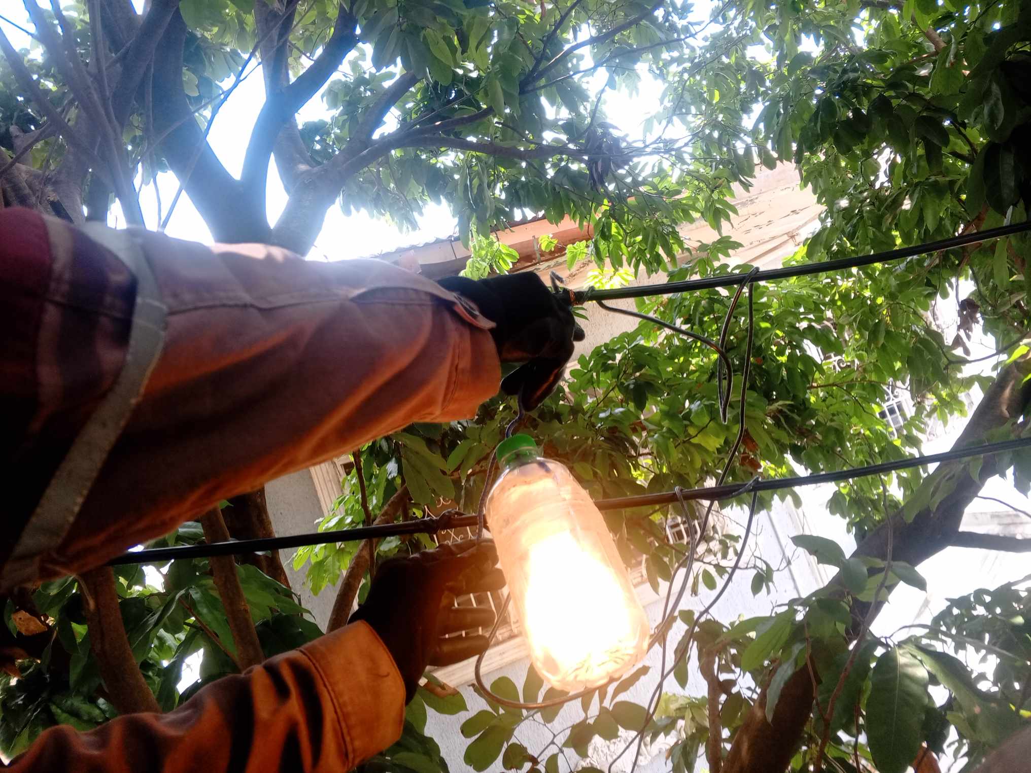 Visayan Electric Co.: Understanding the dangers of direct tapping ...