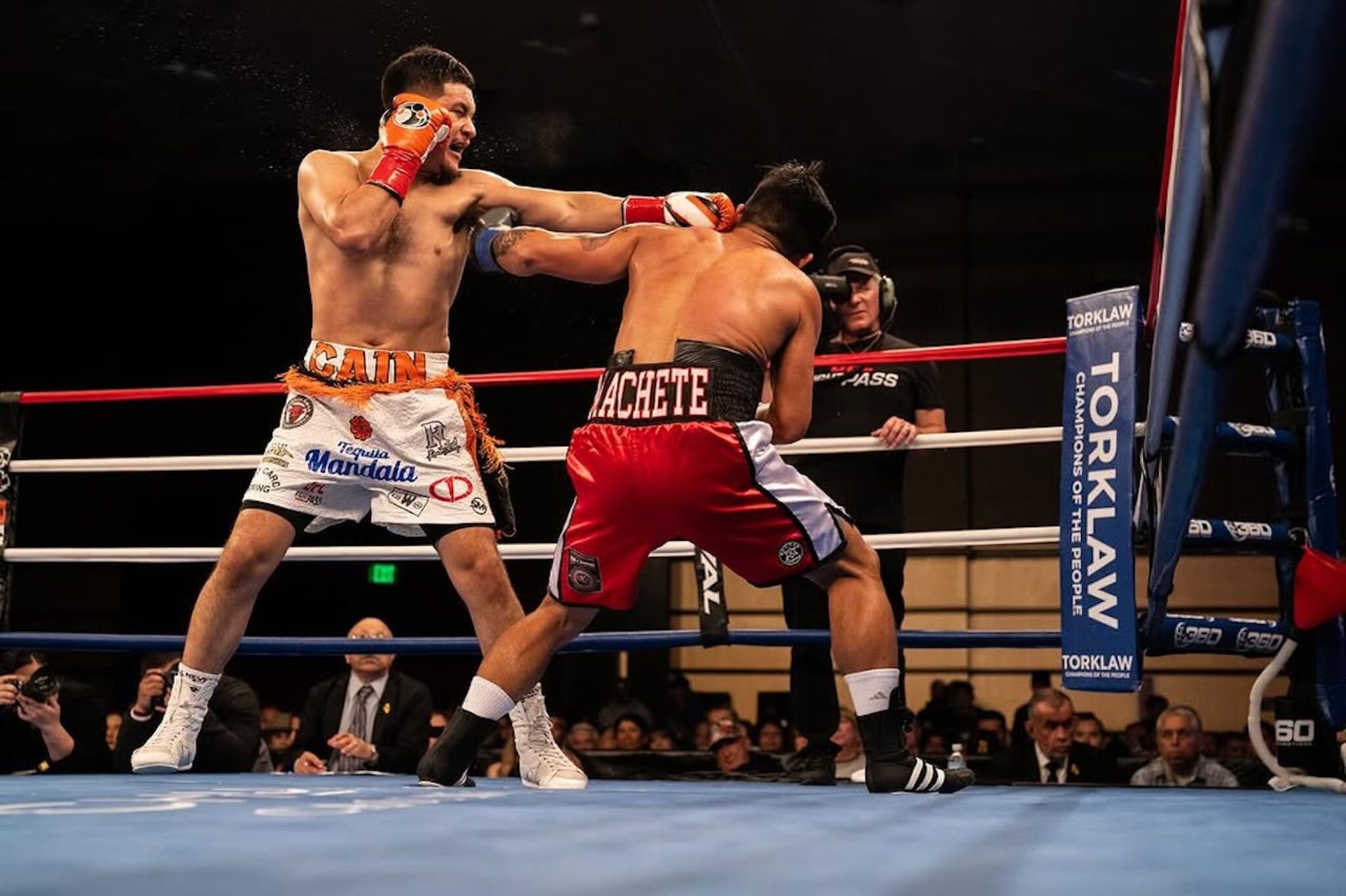 Bernaldez’s streak ends as Sandoval scores 4th Rd. KO | Cebu Daily News