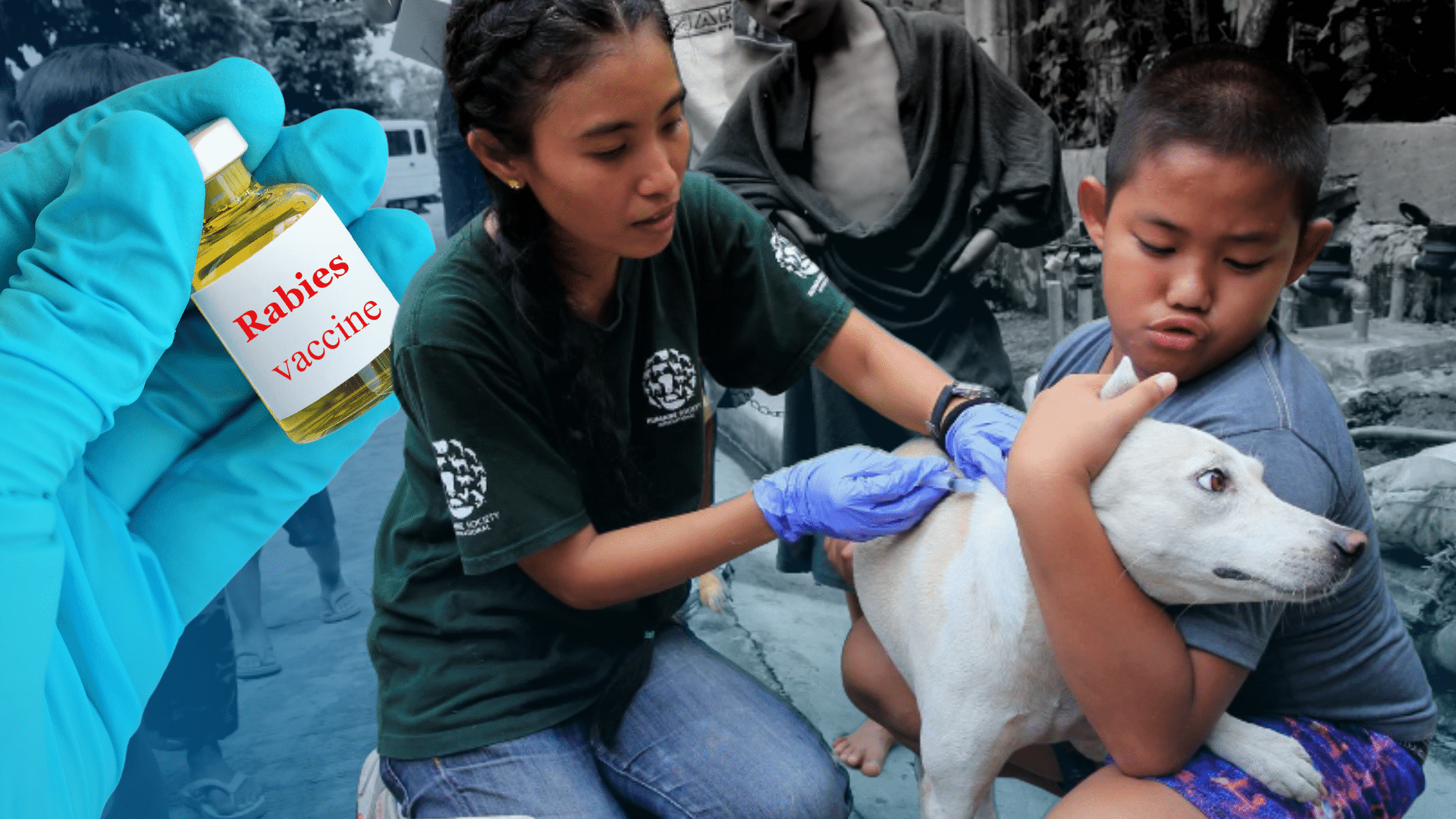 Mandaue City rabies: Only one case reported so far for 2025