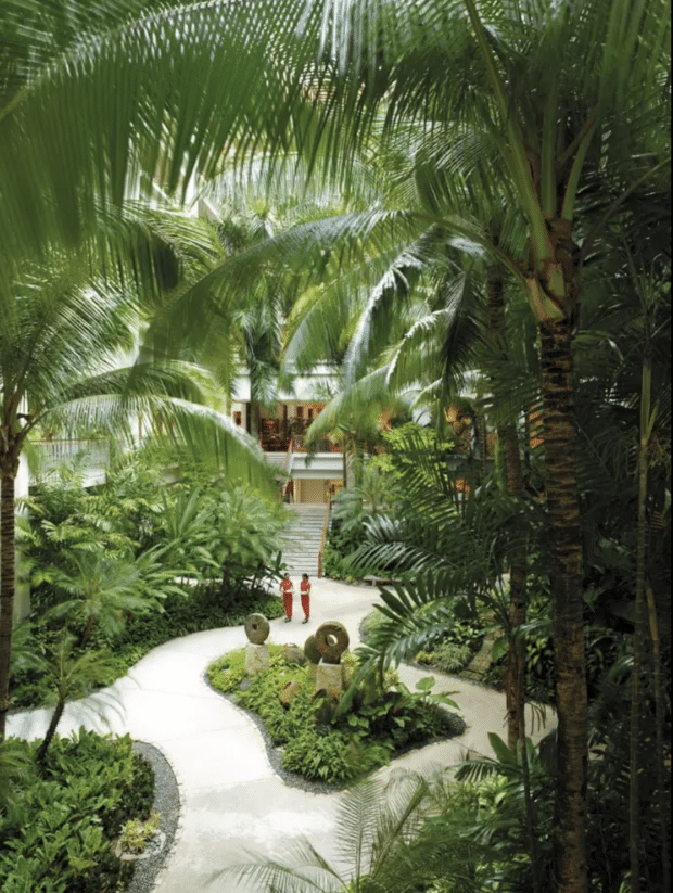 Meet Dave Junker: Guiding Shangri-La Mactan through experience and ...