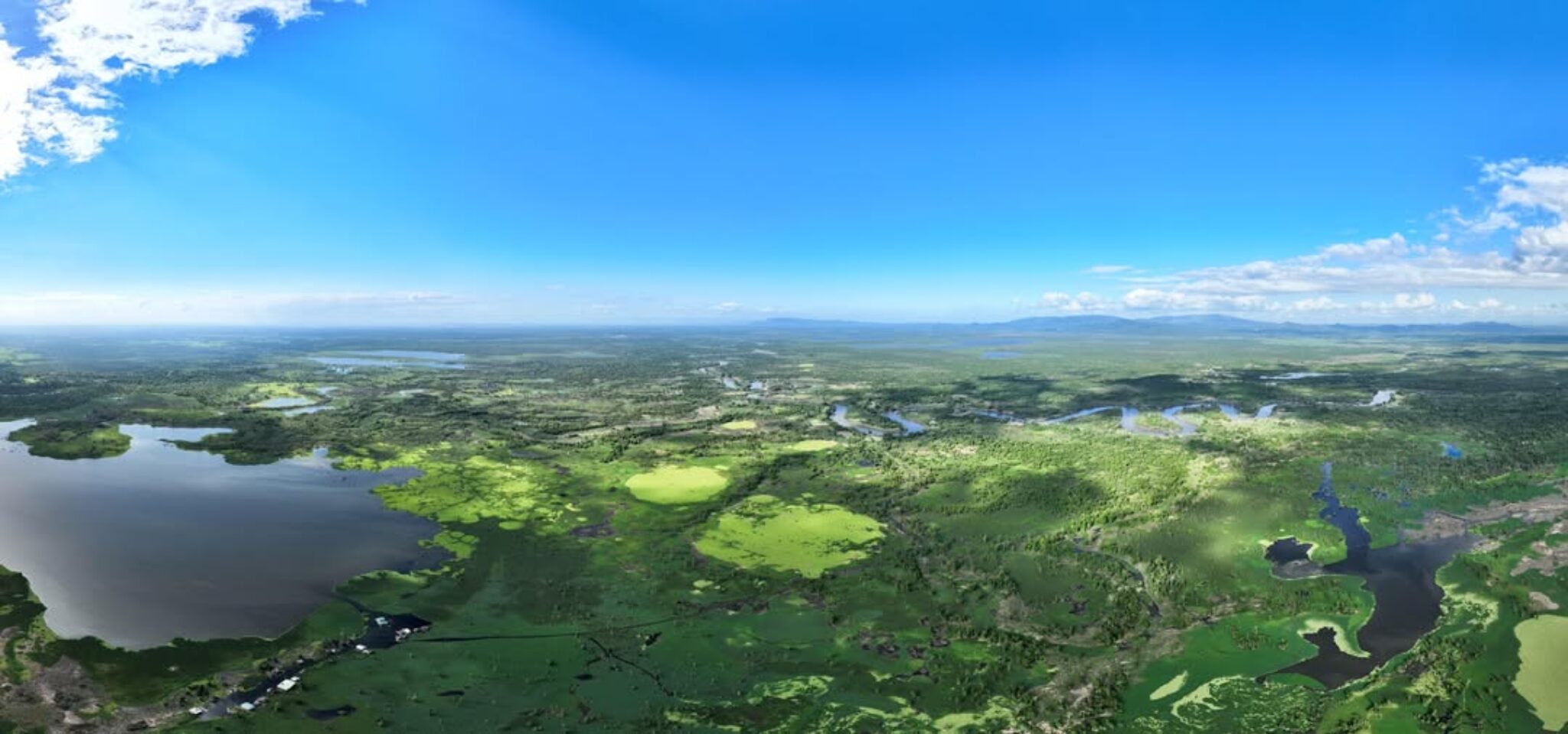 Mindanao’s secret sanctuary: Why Agusan Marsh deserves a spot on your ...