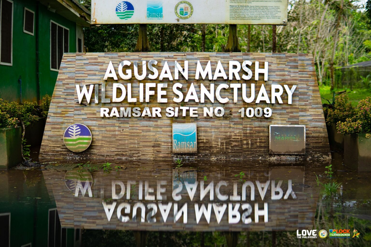 Mindanao’s secret sanctuary: Why Agusan Marsh deserves a spot on your ...