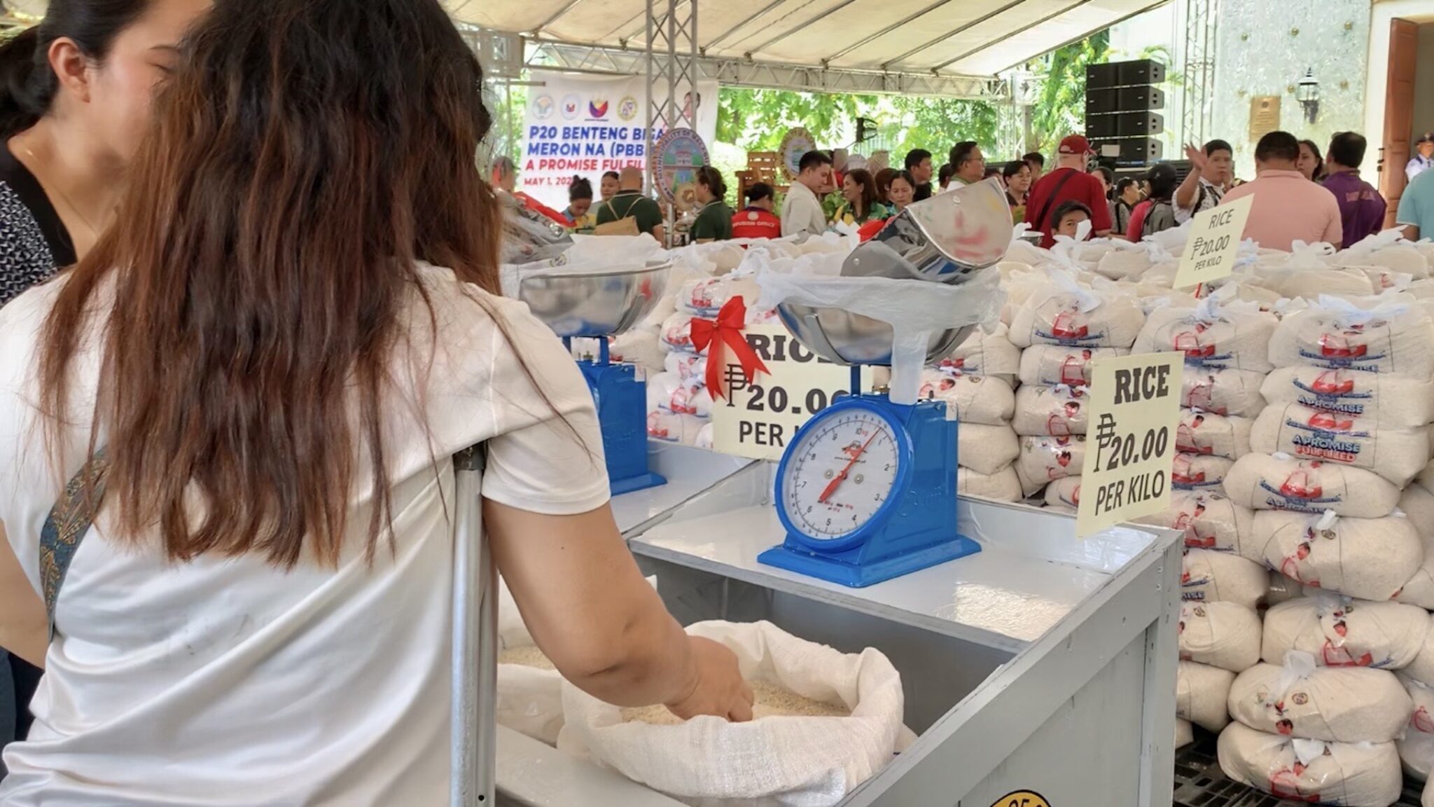 P20 per kilo rice rolled out by DA in Cebu