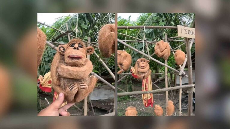 Cebu’s hand-carved coconut monkeys are trending online