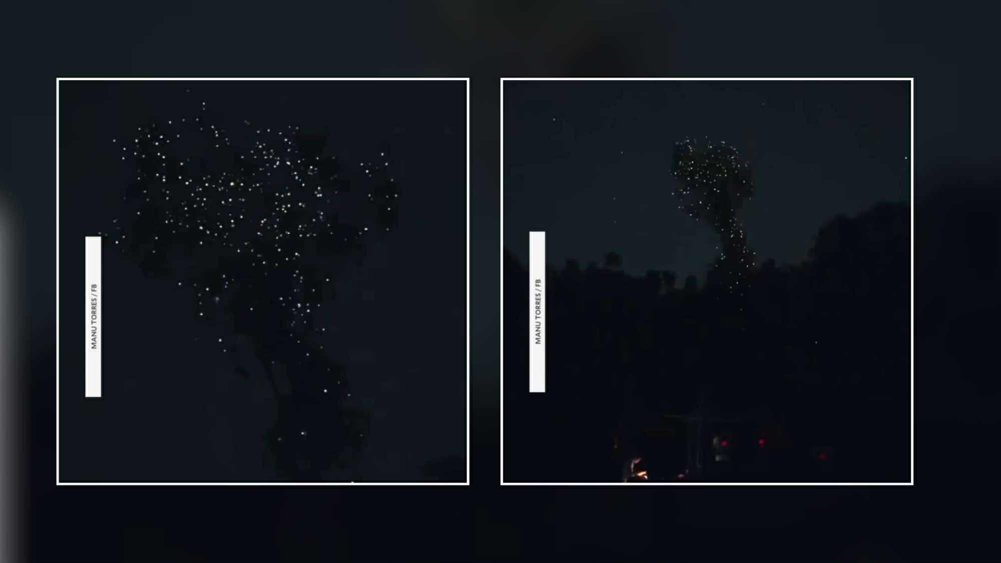 Are fireflies disappearing? Nature is sending a warning