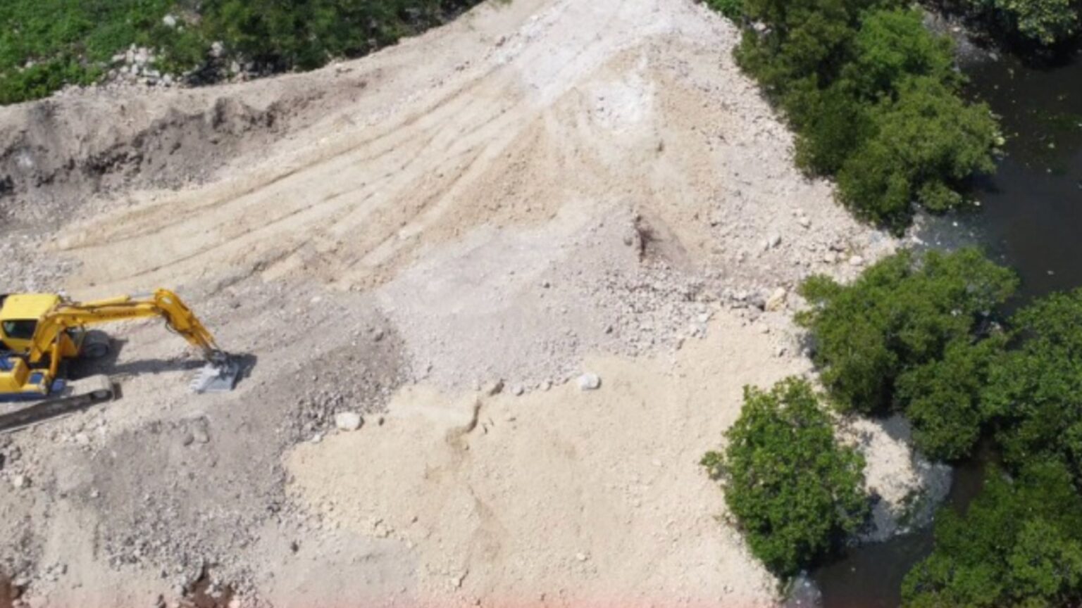 DPWH flood project in Cebu City buries mangroves without ECC