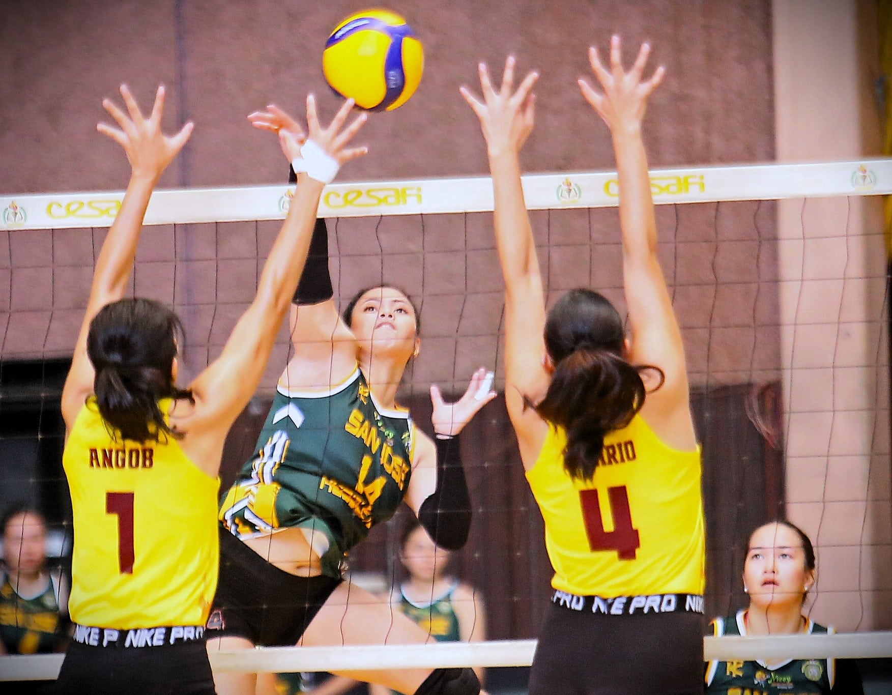 USJ-R, CIT-U, UP Cebu, USPF clash in opening salvo